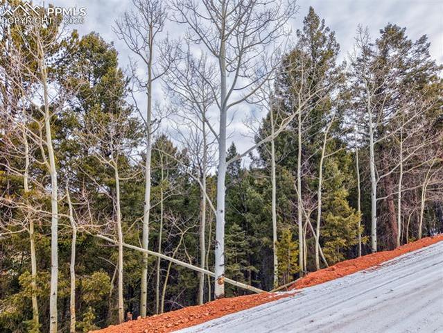 165 Witherite Drive