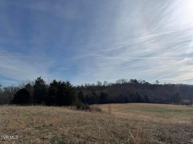 165 Wilkerson Road