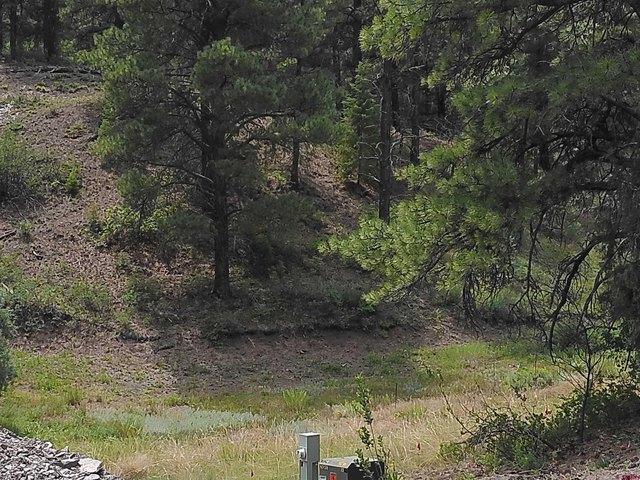 165 Tiffany Pl, Pagosa Springs, CO 81147