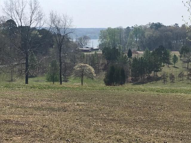 16653 N Star Cir, Sale Creek, TN 37373