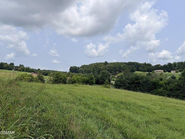 1665 Cosby Hwy, Newport, TN 37821