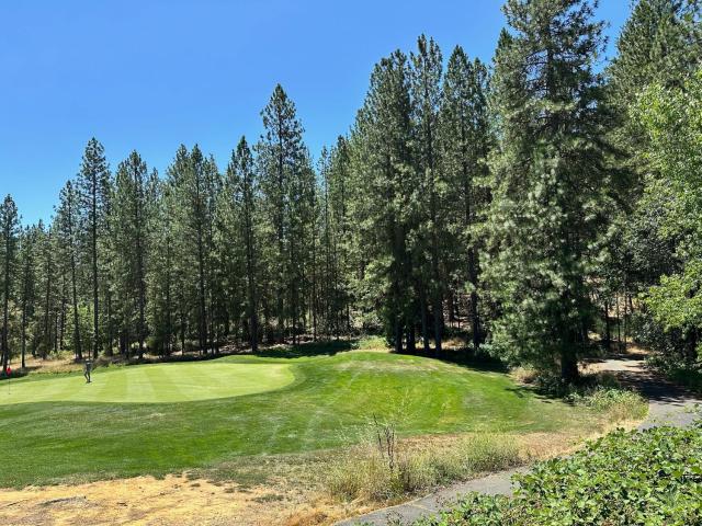 16669 E Summit View Dr, Meadow Vista, CA 95722 | MLS #225046
