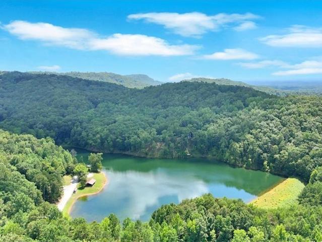 1666 Hunter Dr, Ranger, GA 30734 | MLS #7802