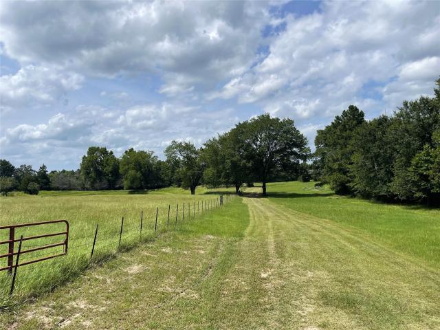 1666 US Highway 84
