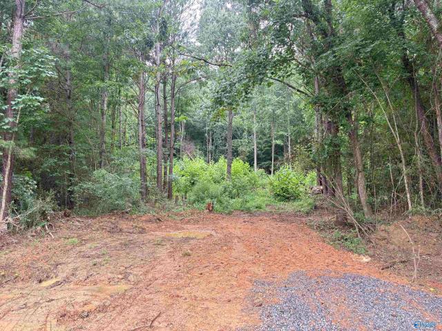 16679 Al Highway 35