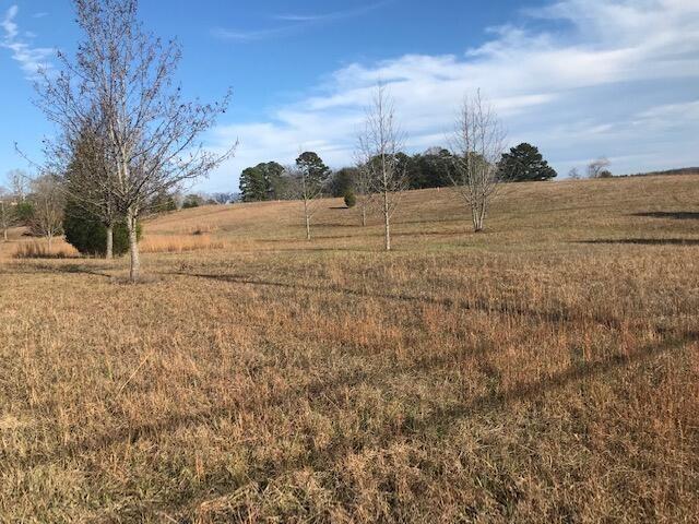 16697 N Star Cir, Sale Creek, TN 37373 | MLS #3186