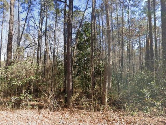 1669 Rainey Dr Lot 10, Spring Lake, NC 28390