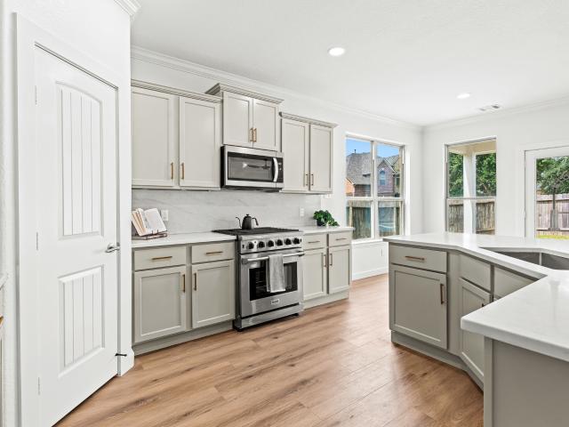 16603 Radiant Lilac Trail