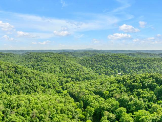 16600 Center Hill Dam Rd