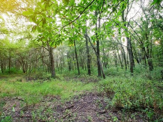 16611 Noble St Lot 77, Lowell, IN 46356