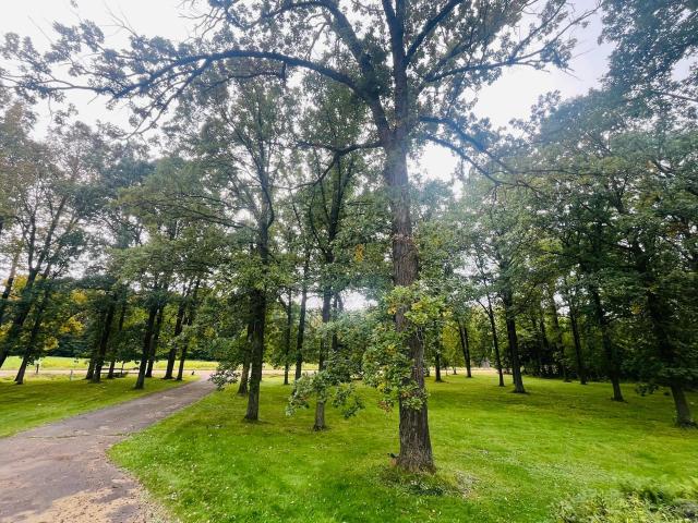 1662 th Ave, Ogilvie, MN 56358 | MLS #7038 | Compass