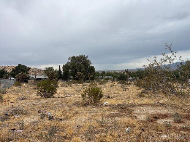 166th St E, Palmdale, CA 93591