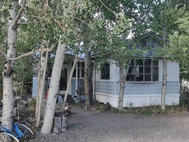 166 Commanche Peak Rd, South Fork, CO 81154