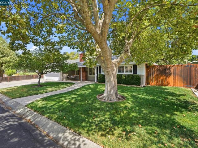 166 Cynthia Dr