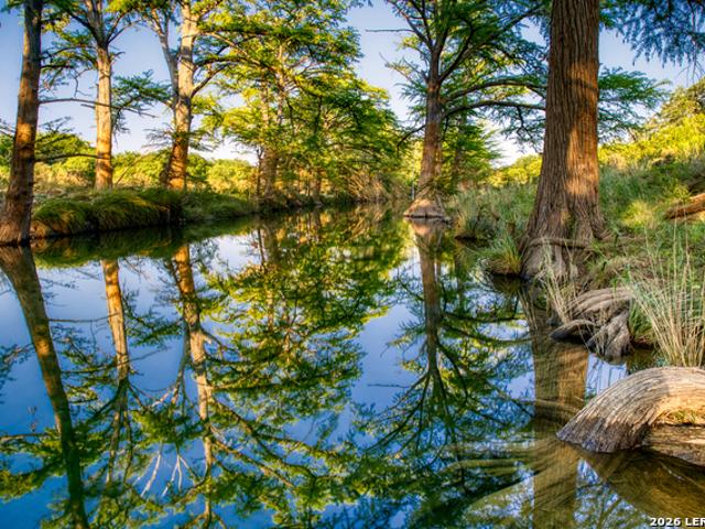 166 Cypress Falls Rd