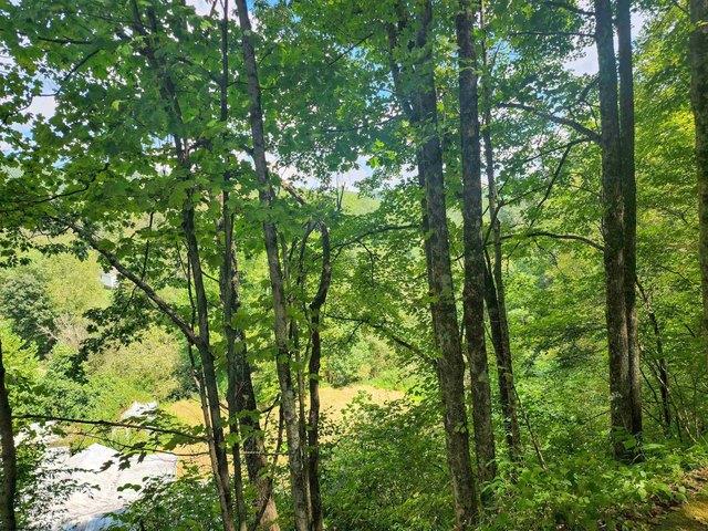166 Brown Rd, Wallace, WV 26448