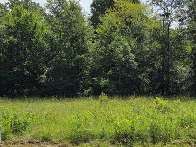 166 Deer Run Rd, Mabank, TX 75156