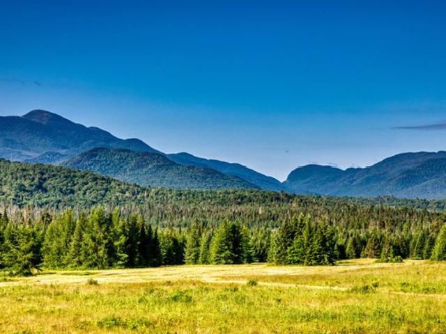 166 Far Horizon Dr, Lake Placid, NY 12946