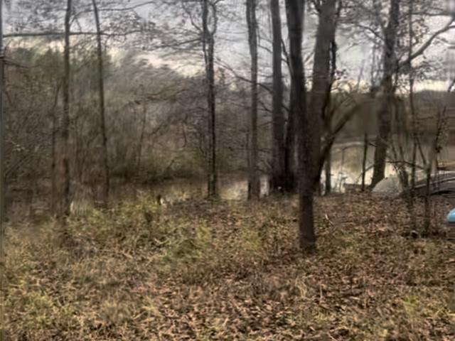 166 Lake Crest Drive