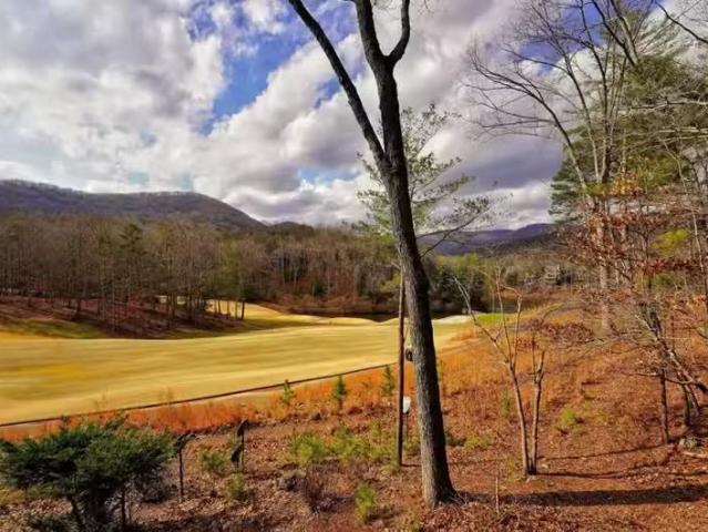 166 Sconti Ridge #429B, Jasper, GA 30143 MLS 7525822