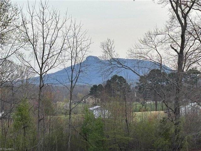 166 Springfield Rd, Pilot Mountain, NC 27041