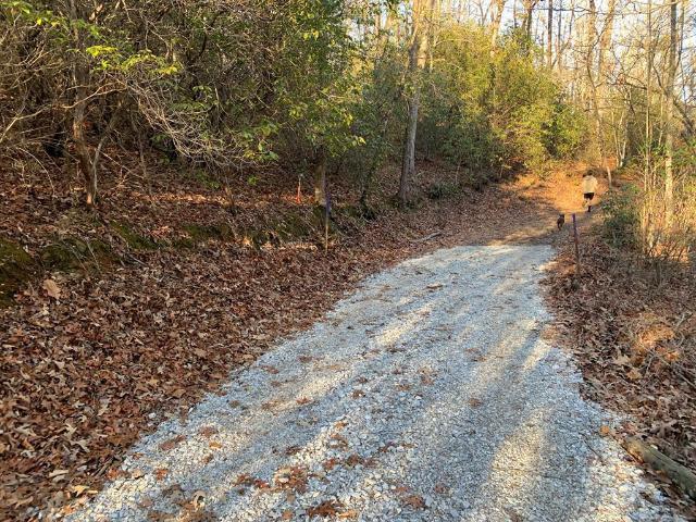 166 Qualla Trl, Murphy, NC 28906 | MLS #98524