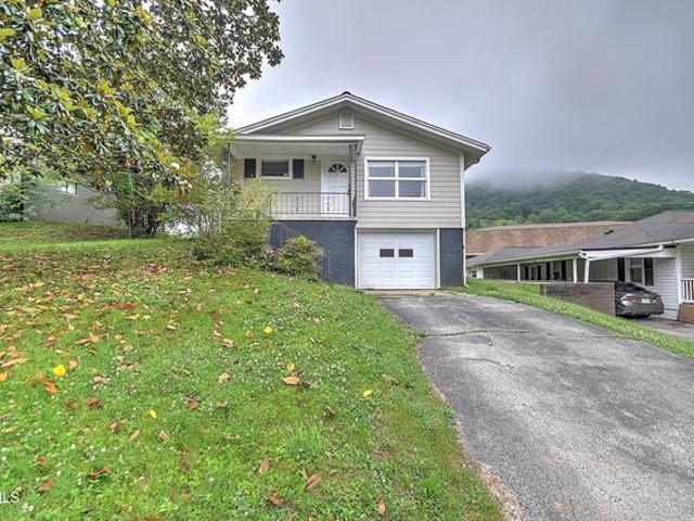 166 Reading Rd, Weber City, VA 24290