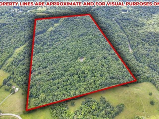 16749 Mush Run Rd, Athens, OH 45701