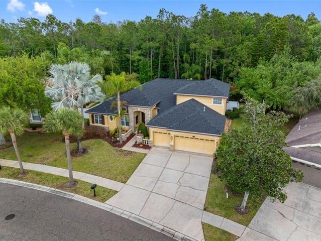 16750 Ivy Lake Dr, Odessa, FL 33556