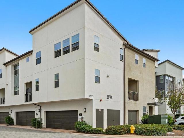 16755 Coyote Bush 89