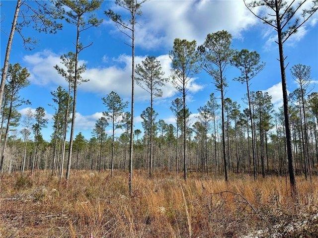 1675 Lee Rd # 278, Salem, AL 36874