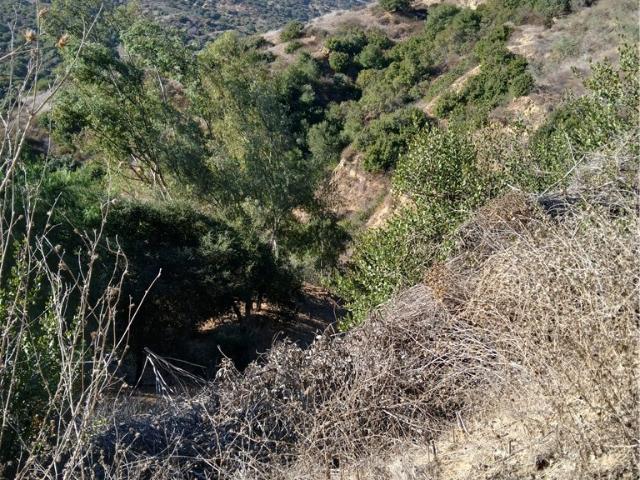 16766 Sunset Way