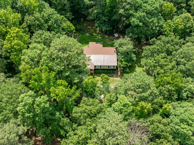 1677 Highway 46