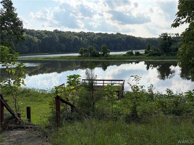 16798 N River Shores Rd, Northport, AL 35475