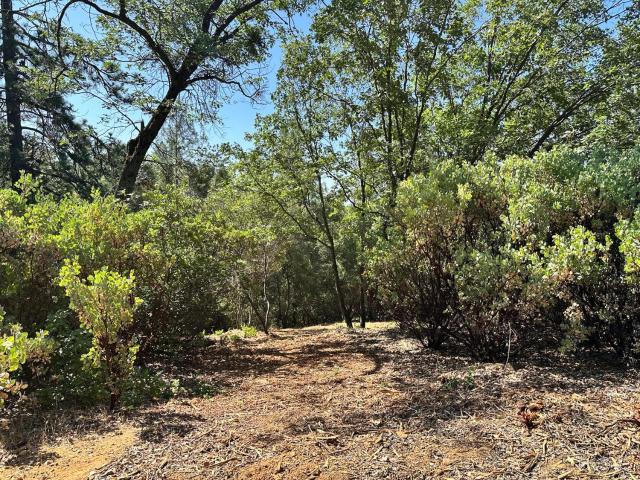 16709 E Summit View Dr, Meadow Vista, CA 95722 | MLS #225046 | Compass