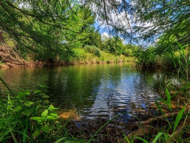 1670 FM 2093, Fredericksburg, TX 78624
