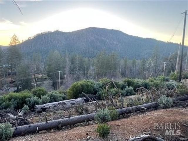 16710 Starview Loop, Cobb, CA 95426