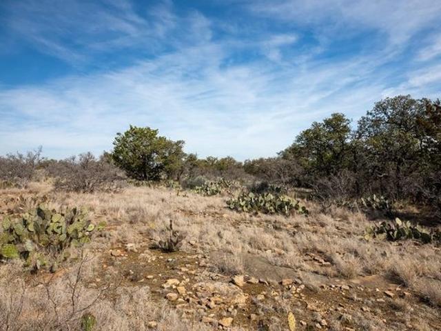 16719 Lot 1 Salt Branch Loop Lot 1, Mason, TX 76856