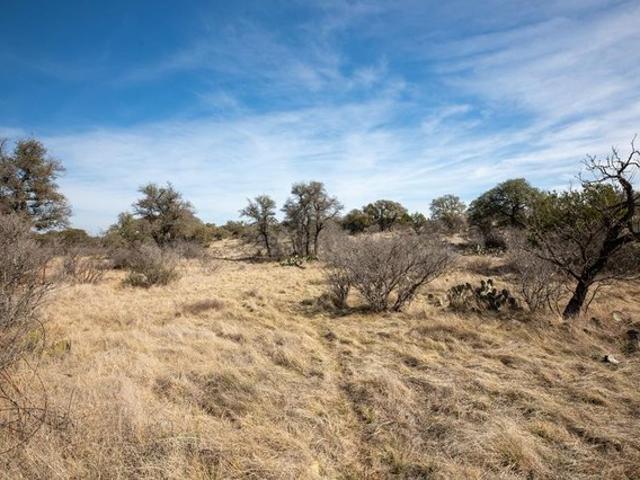 16719 Lot 2 Salt Branch Loop Lot 2, Mason, TX 76856