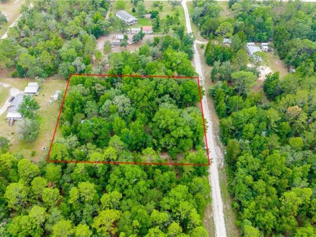 1671 NE 128th Ave, Williston, FL 32696