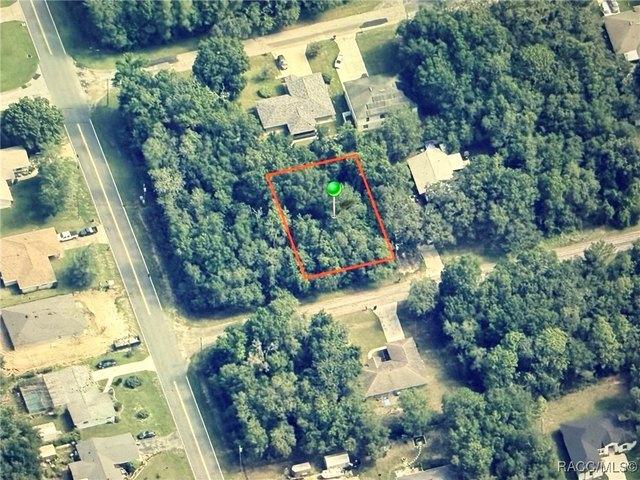 1671 W Saint Elizabeth Pl, Citrus Springs, FL 34434