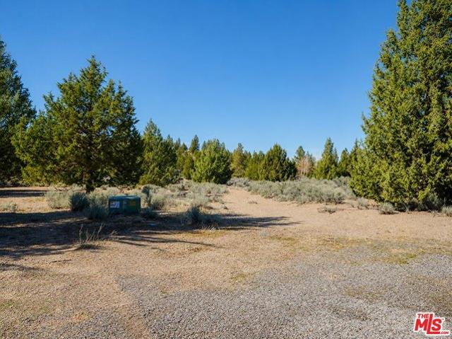 16728 Devlin Ct, Weed, CA 96094