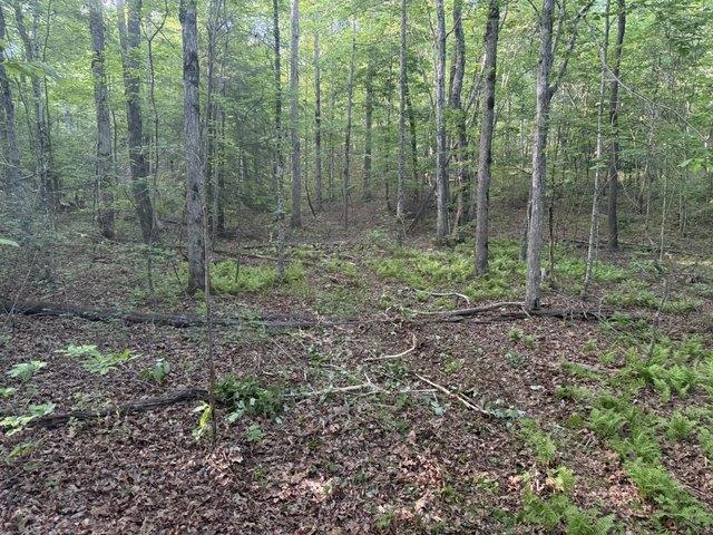 1672 Besstown Rd, Beersheba Springs, TN 37305