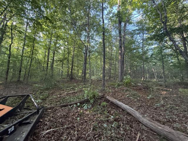 1672 Besstown Road
