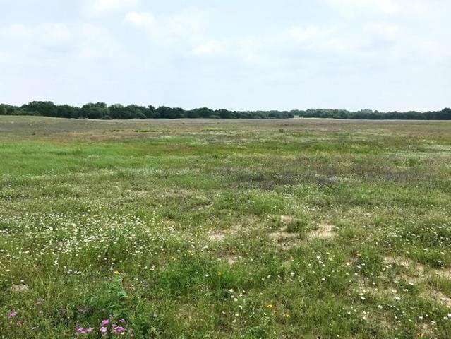 1672 Sayers Tract 2 Rd, Bastrop, TX 78602