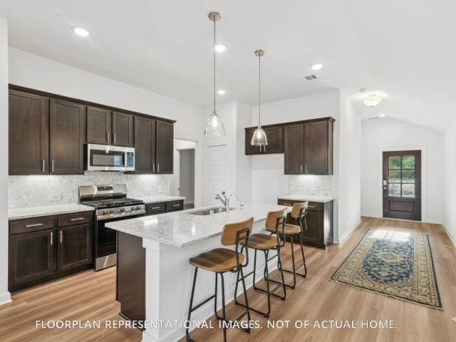 16731 Largetooth Aspen Lane