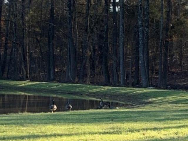 1673 County Road 342