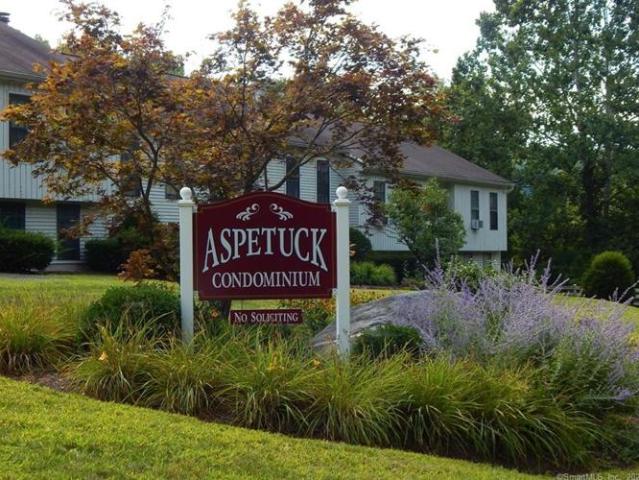 167 Aspetuck Village #167 New Milford, CT 06776
