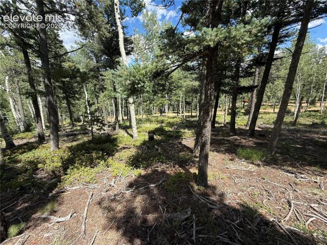 167 Big Bear Road