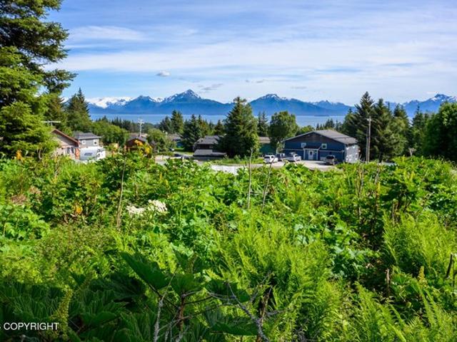 167 E Danview Ave, Homer, AK 99603